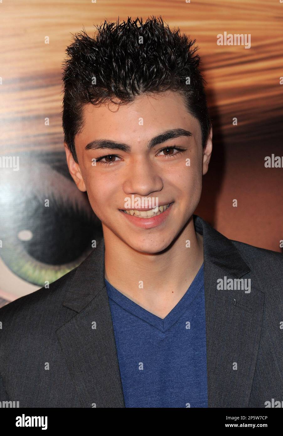 HOLLYWOOD - NOVEMBER 14: Adam Irigoyen arrives at the "Tangled" Los ...