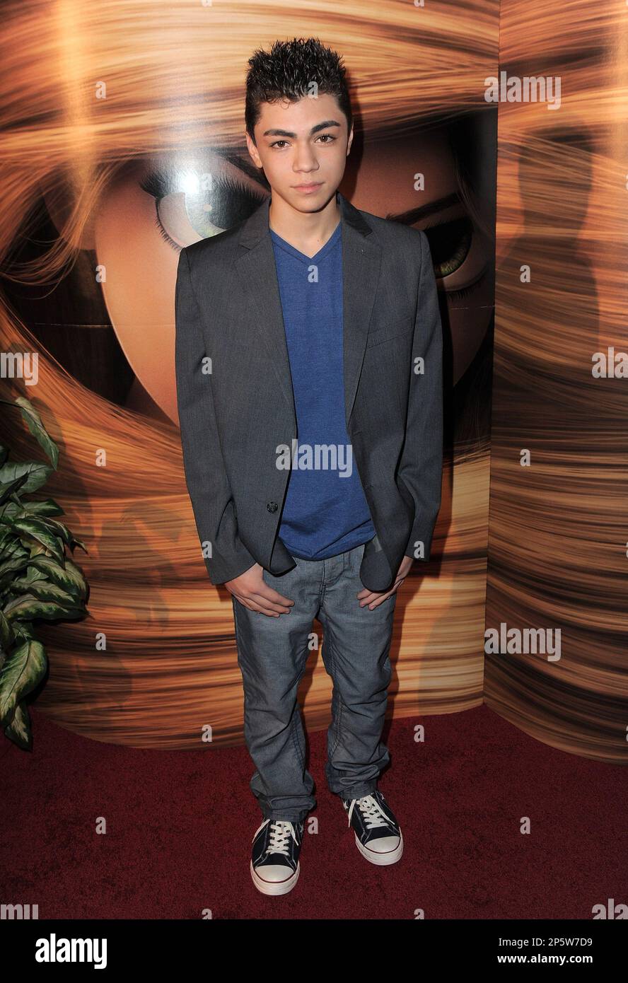 HOLLYWOOD - NOVEMBER 14: Adam Irigoyen arrives at the "Tangled" Los ...