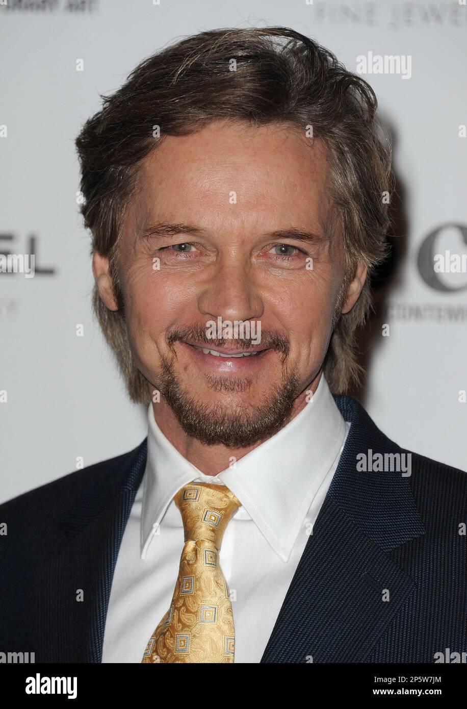 LOS ANGELES, CA - NOVEMBER 13: Actor Stephen Nichols arrives at MOCA ...