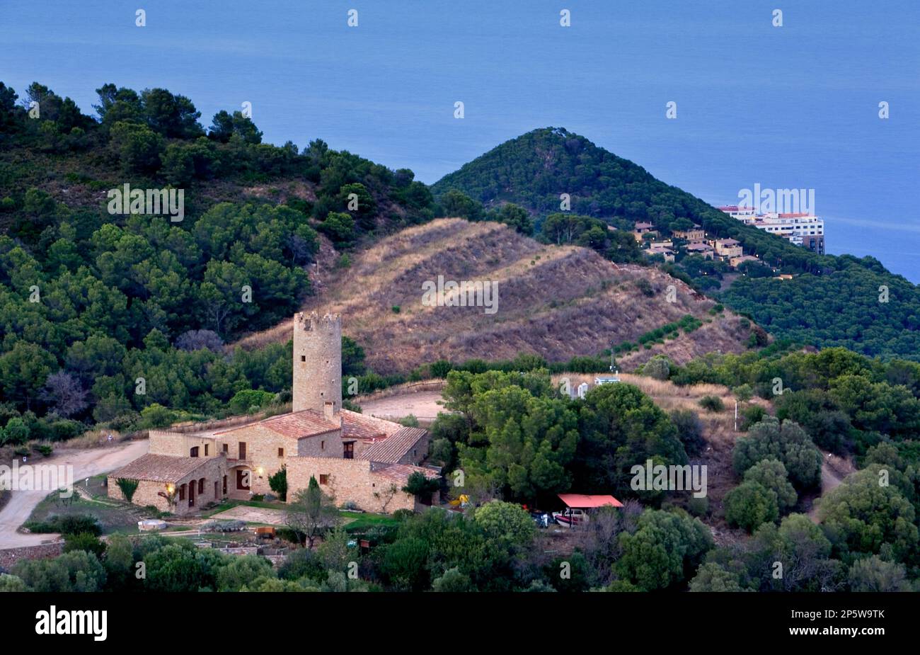 Carmen amaya amaya hi-res stock photography and images - Alamy