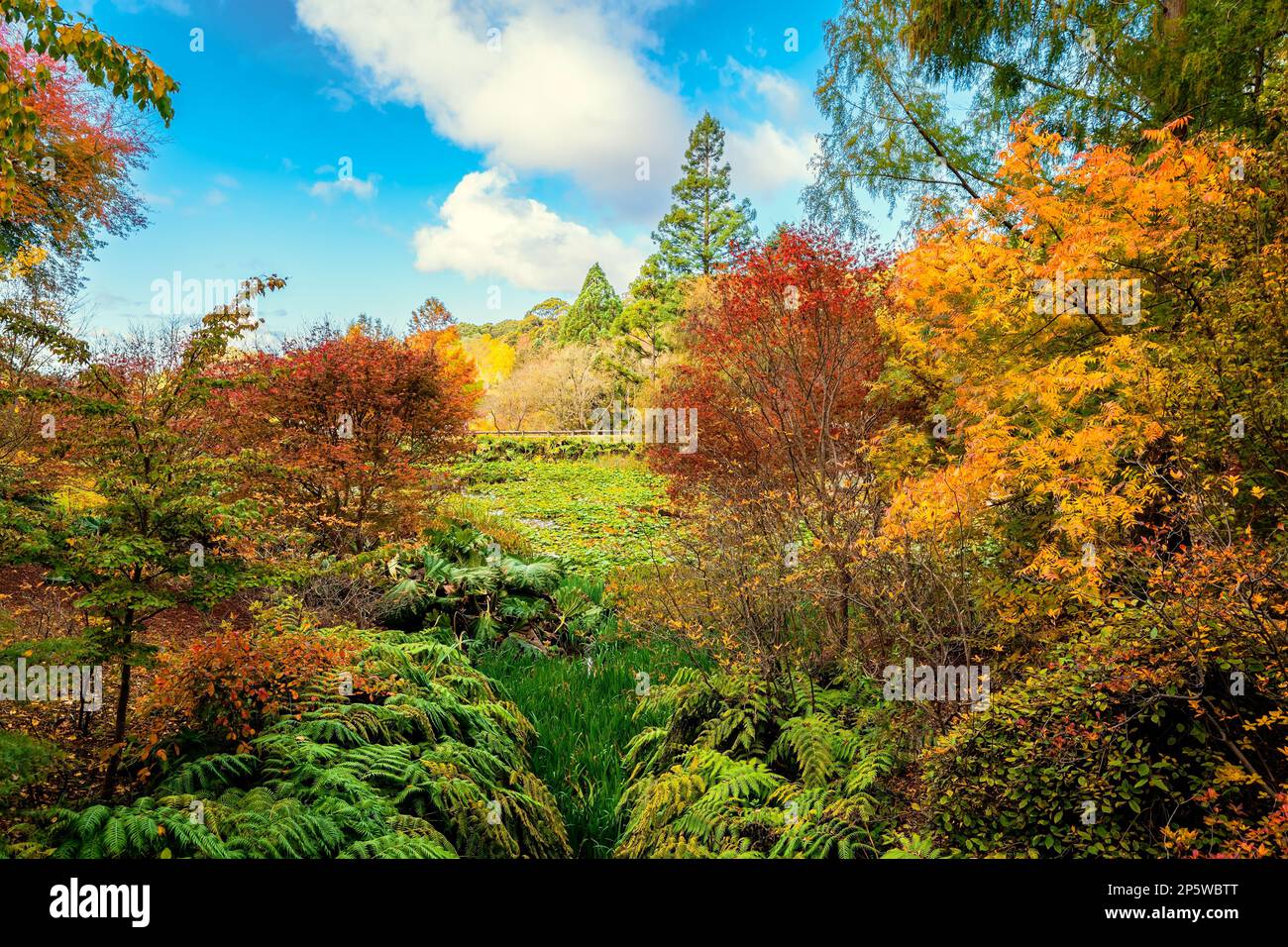 Mount Lofty public park on a day during autumn season Stock Photo - Alamy
