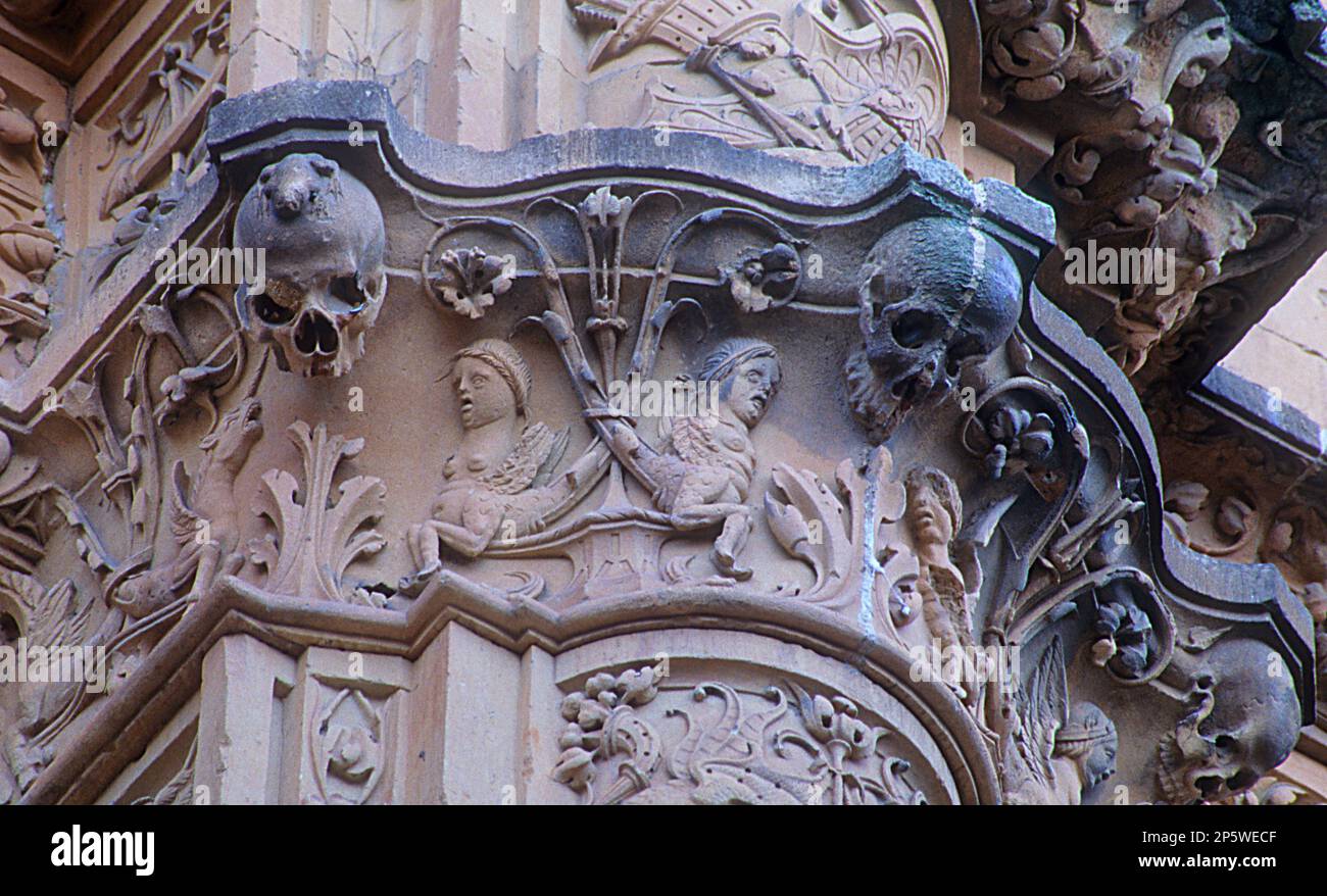 Famous frog on a skull, Detail of plateresque facade of main entrance ...