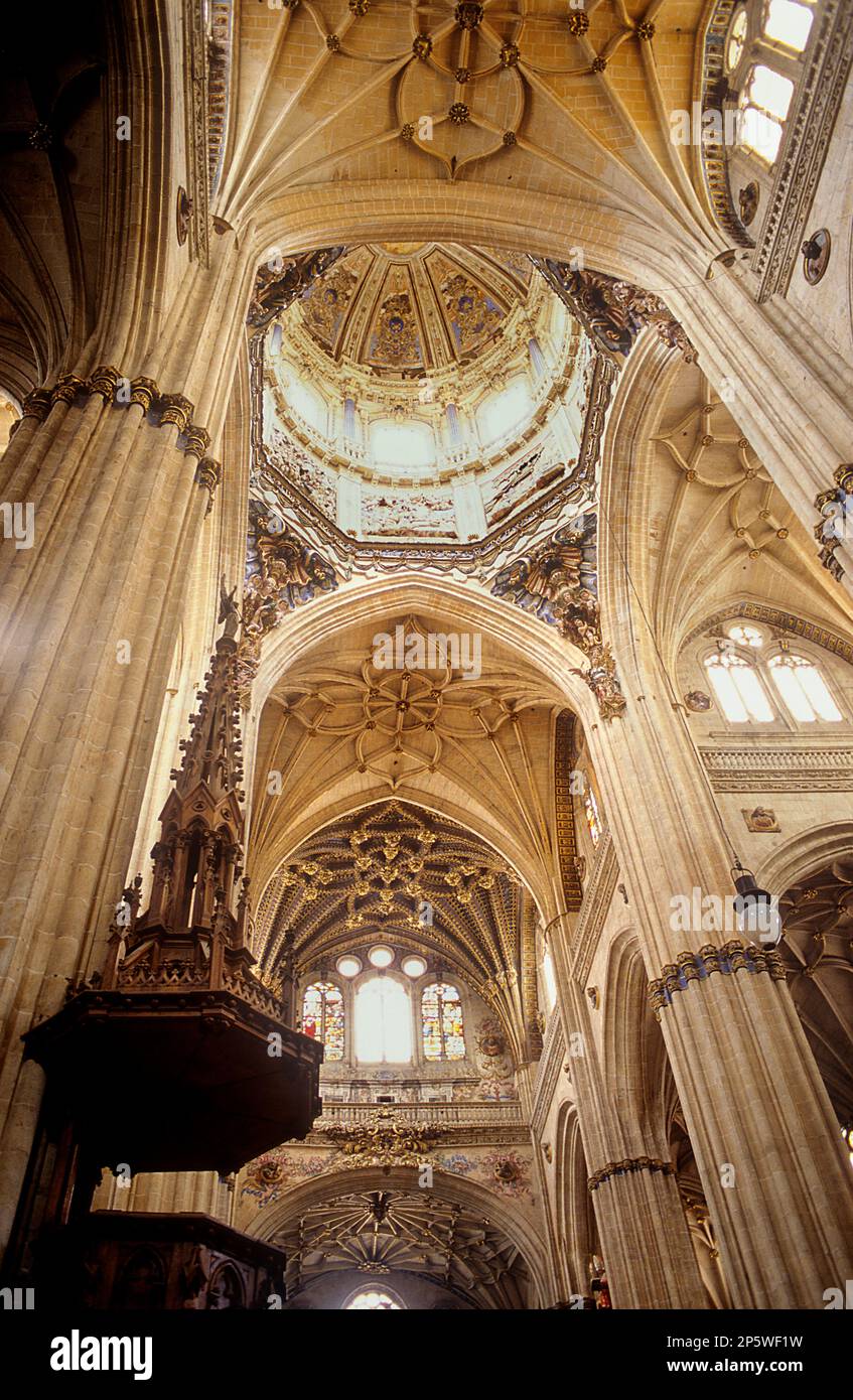 Ornate facade new cathedral hi-res stock photography and images - Alamy