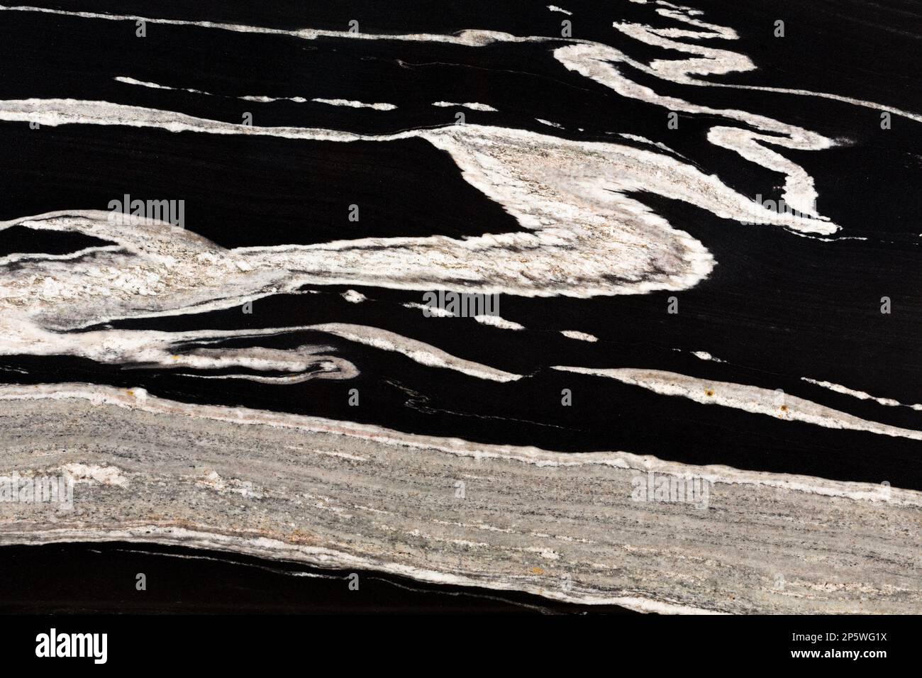 Back Horse stylish natural glossy marble stone slab texture. Dark black ...