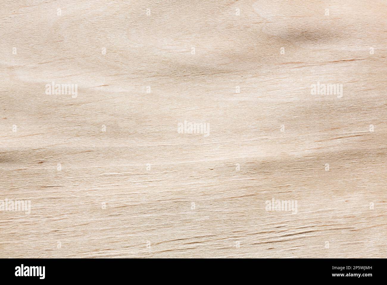 Matte wood texture. Background natural seamless with high resolution ...