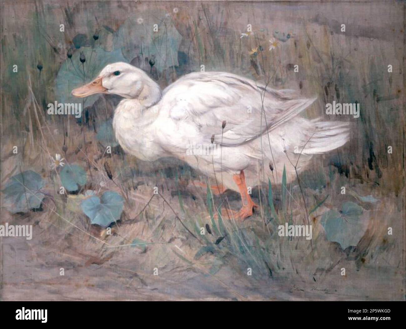 Edwin white painting hi-res stock photography and images - Alamy