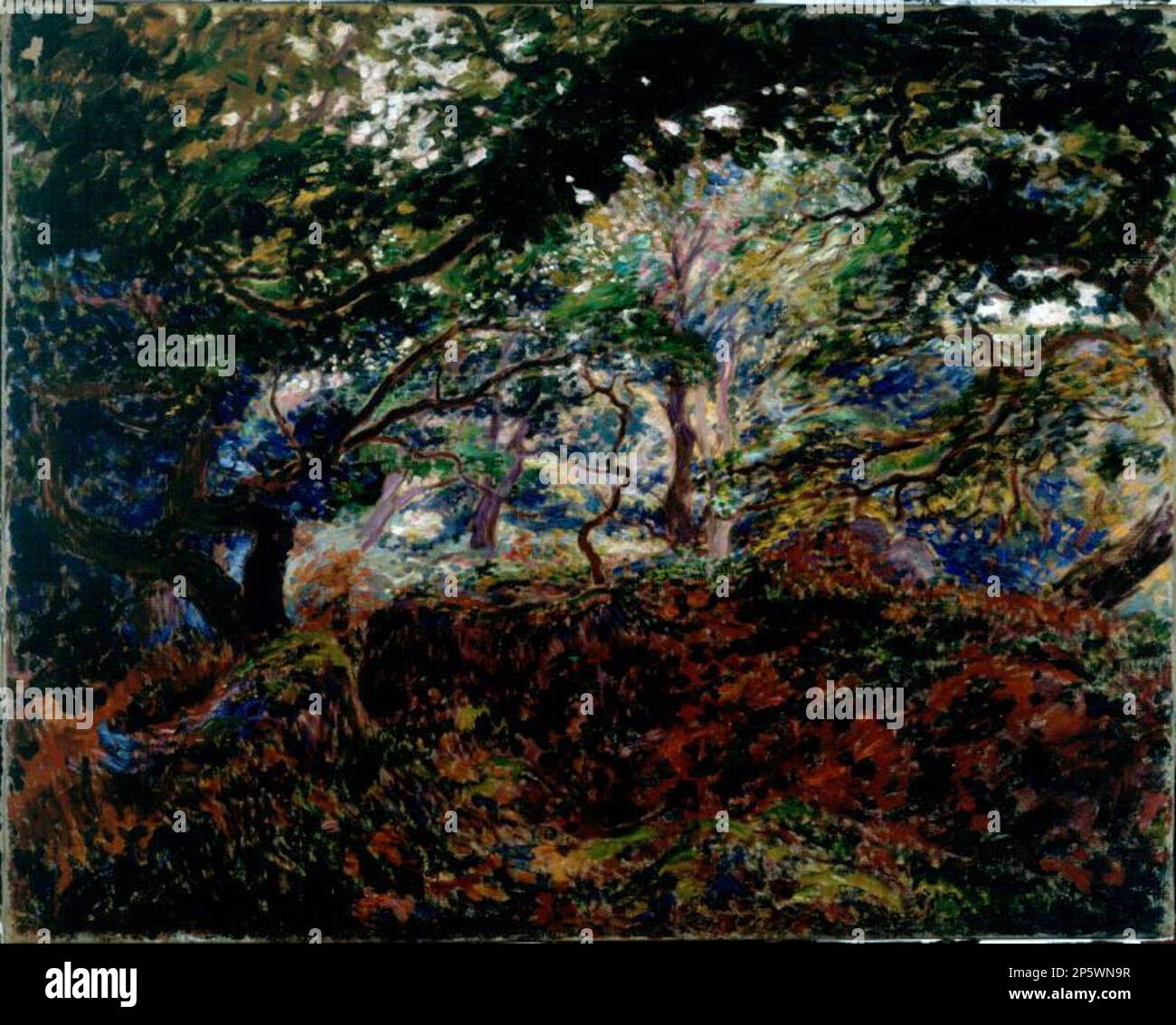 Sous-Bois, Georges Lacombe (Versailles, France, 1868 - 1916) 1908-1910 ... Sous-Bois, Georges Lacombe (Versailles, France, 1868 - 1916) 1908-1910 ...