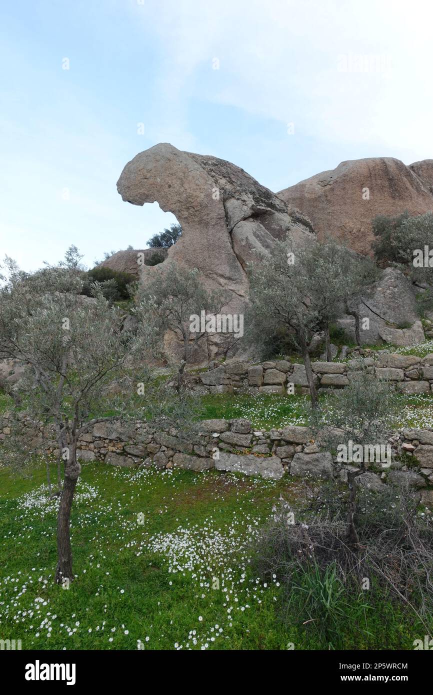 Scenery on one of the hiking trail in the Lake Bafa Nature Park. Mulga ...