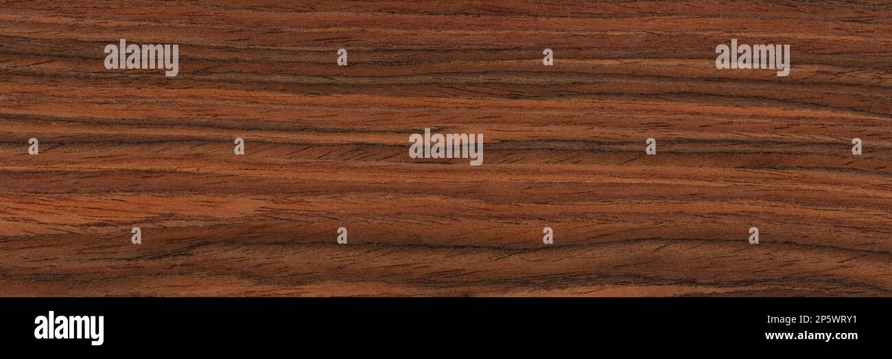 Attractive rosewood veneer background for your awesome exterior view ...
