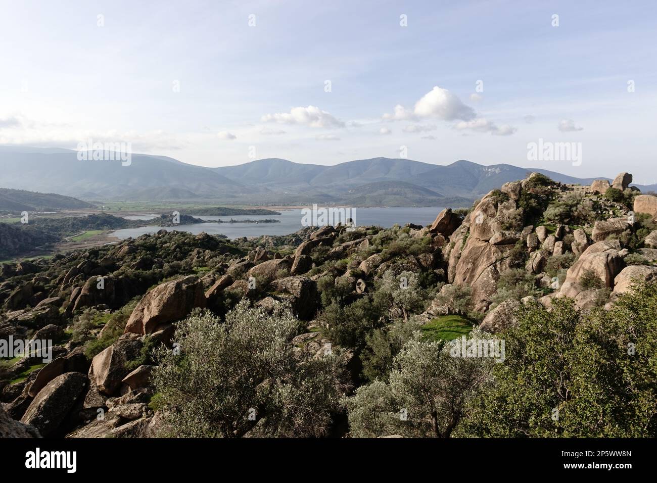 Mulga park hi-res stock photography and images - Alamy