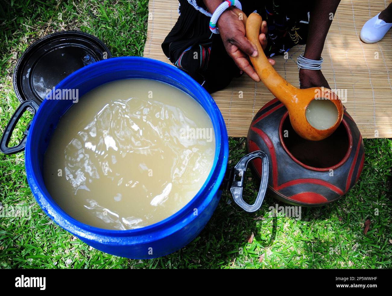 A colourful ceremony to celebrate the first harvest of the sacred ...