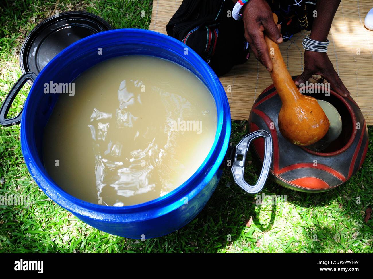 A colourful ceremony to celebrate the first harvest of the sacred ...