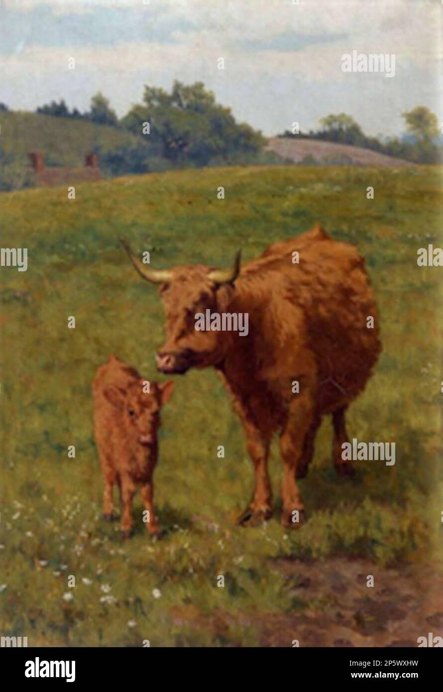 Cow and Calf, Bryan Hook (London, England, 1856 - 1925) 1881 Stock ...