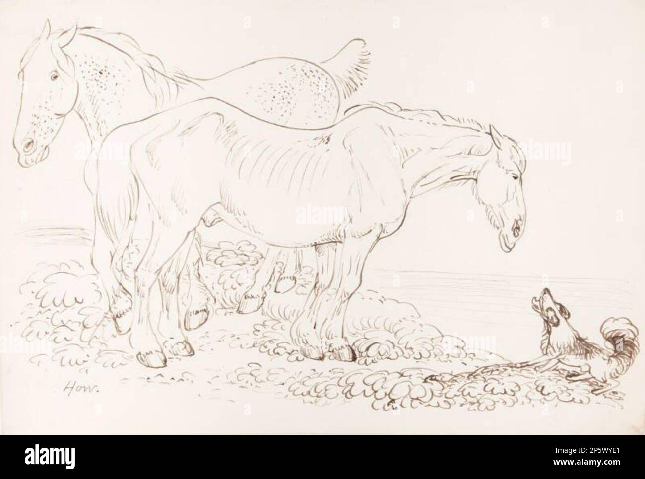 James howe scotland hi-res stock photography and images - Alamy