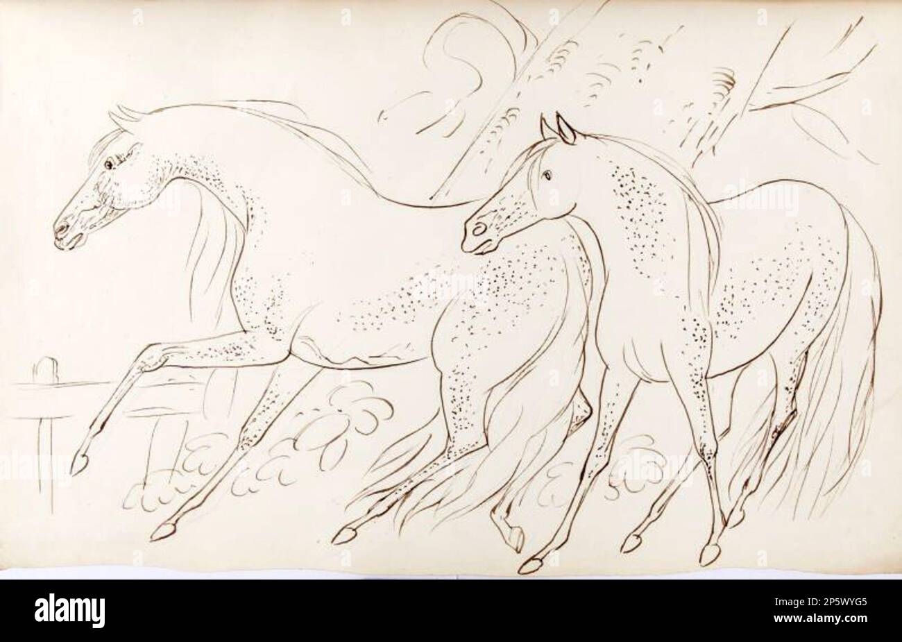 James howe scotland hi-res stock photography and images - Alamy