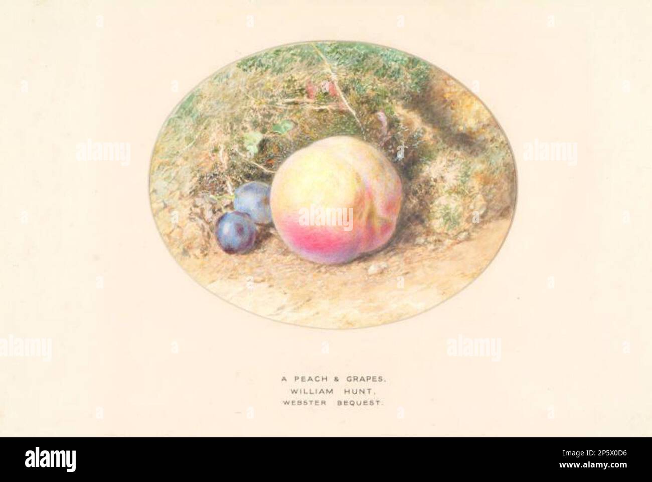 William peach hi-res stock photography and images - Alamy