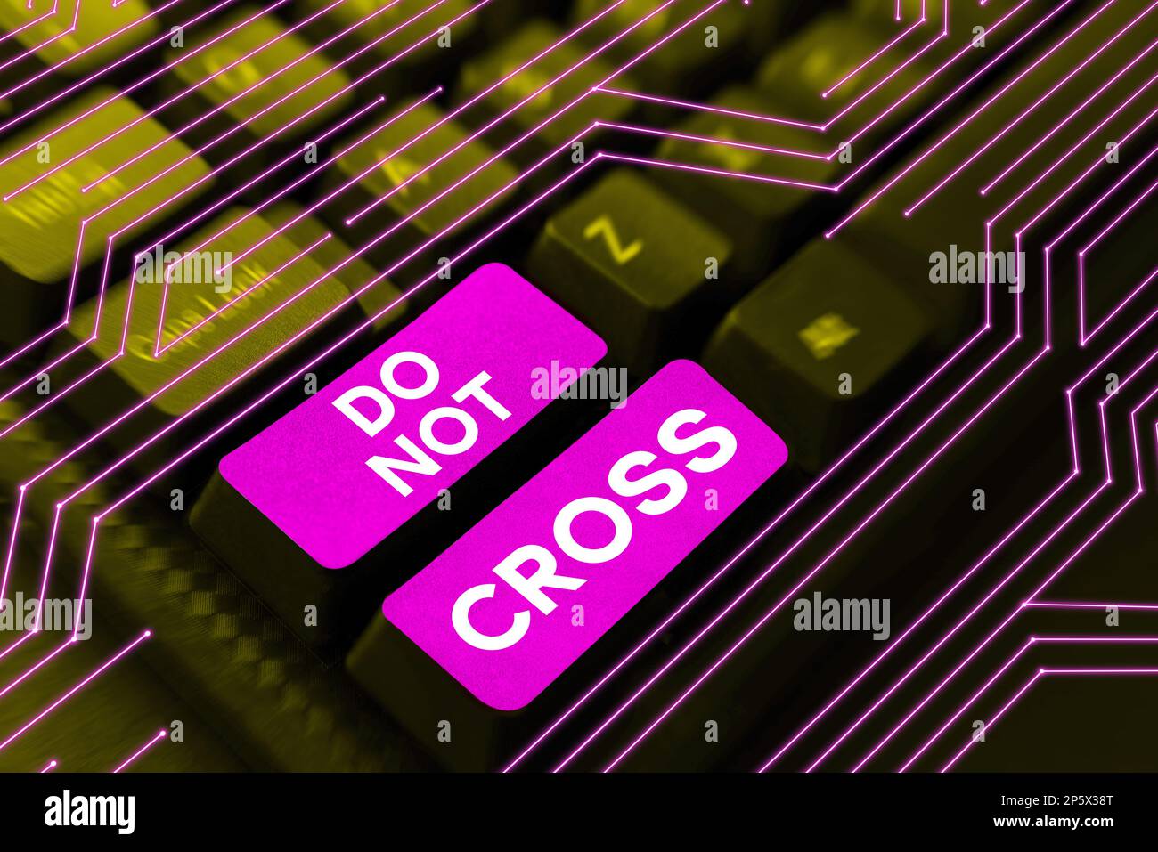 Text caption presenting Do Not Cross. Business overview Crossing is ...