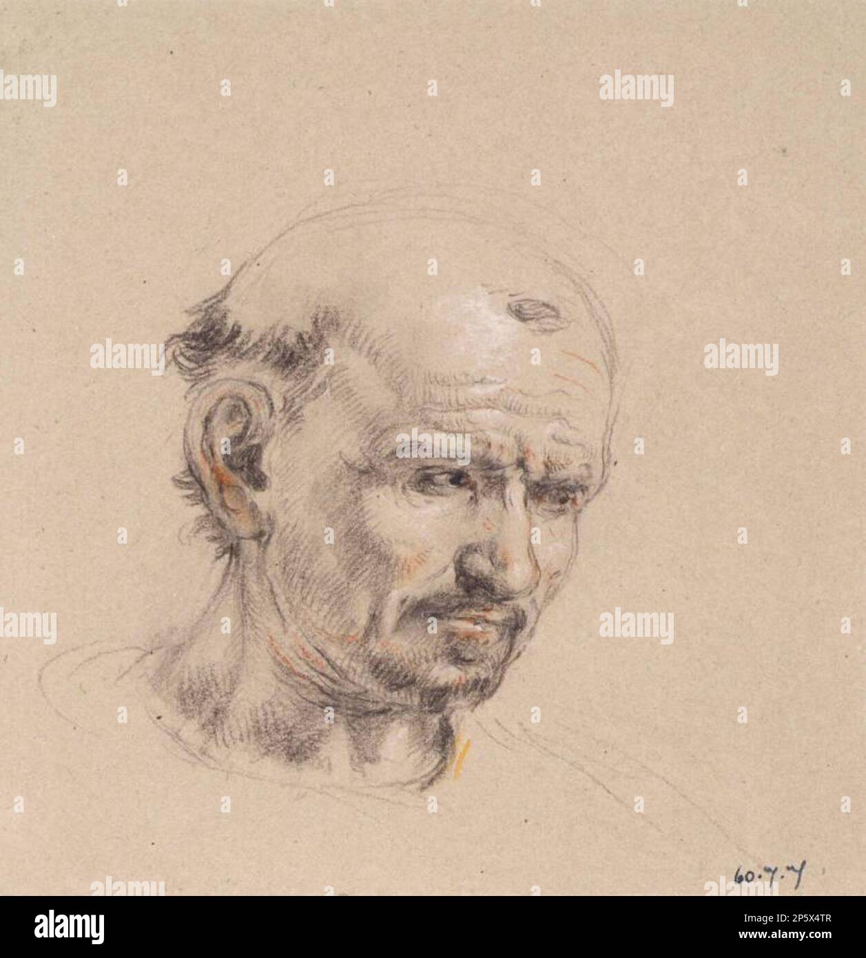 Head of a Bald Man - Study for Lord Patrick Lindsay of the Byres and ...
