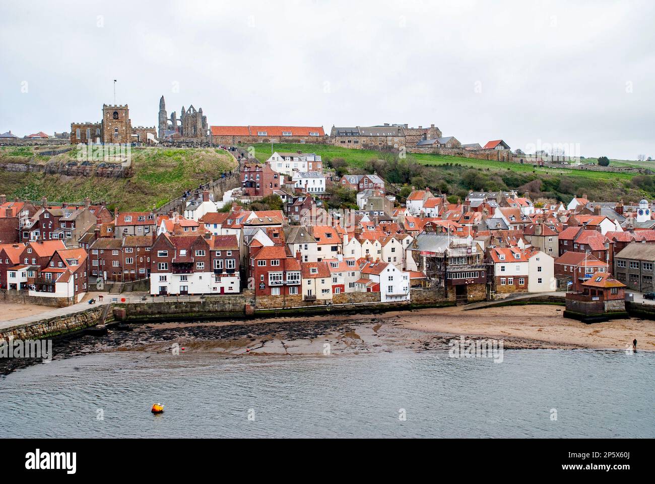 The red rooves of properties below Whitby Abbey and alongside the ...