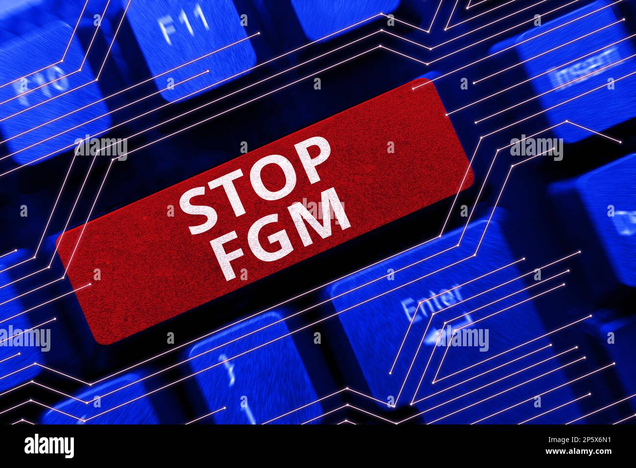 Handwriting text Stop Fgm. Business concept Put an end on female ...