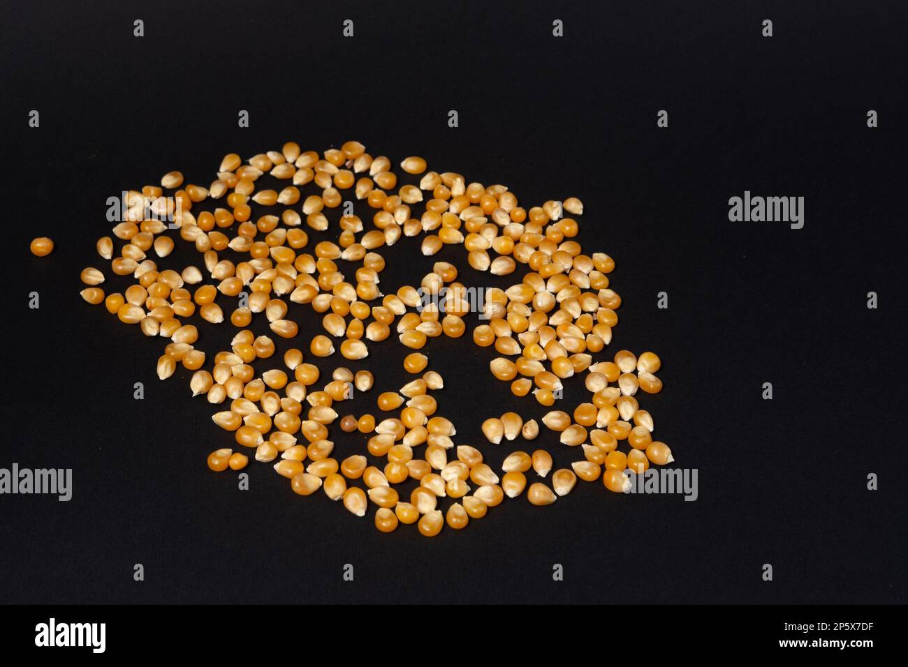 Corn kernels for making popcorn on black background, copy space and top ...