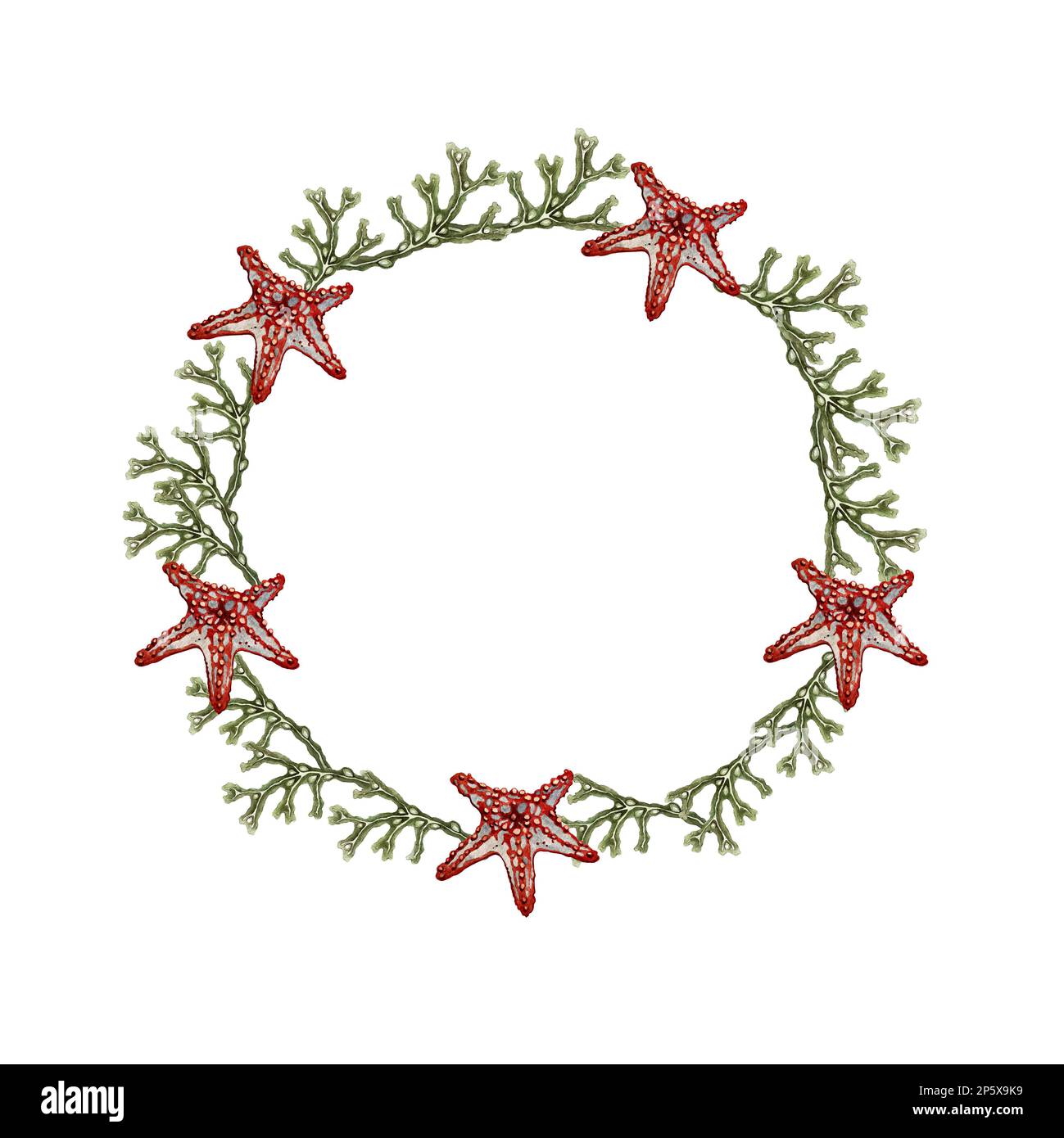 wreath of branches of fucus and starfish Stock Photo - Alamy