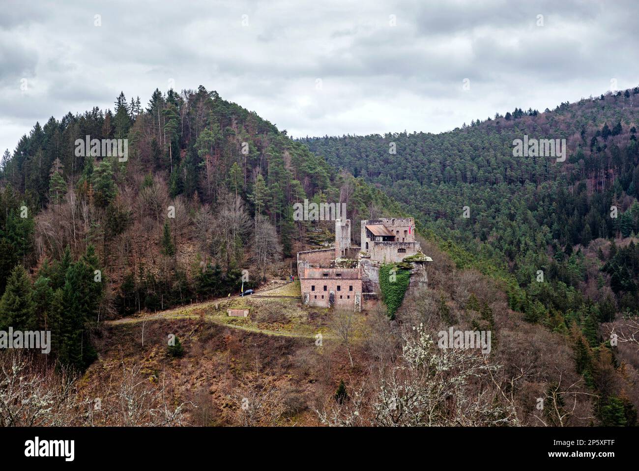 Palatinate forest castle hi-res stock photography and images - Alamy
