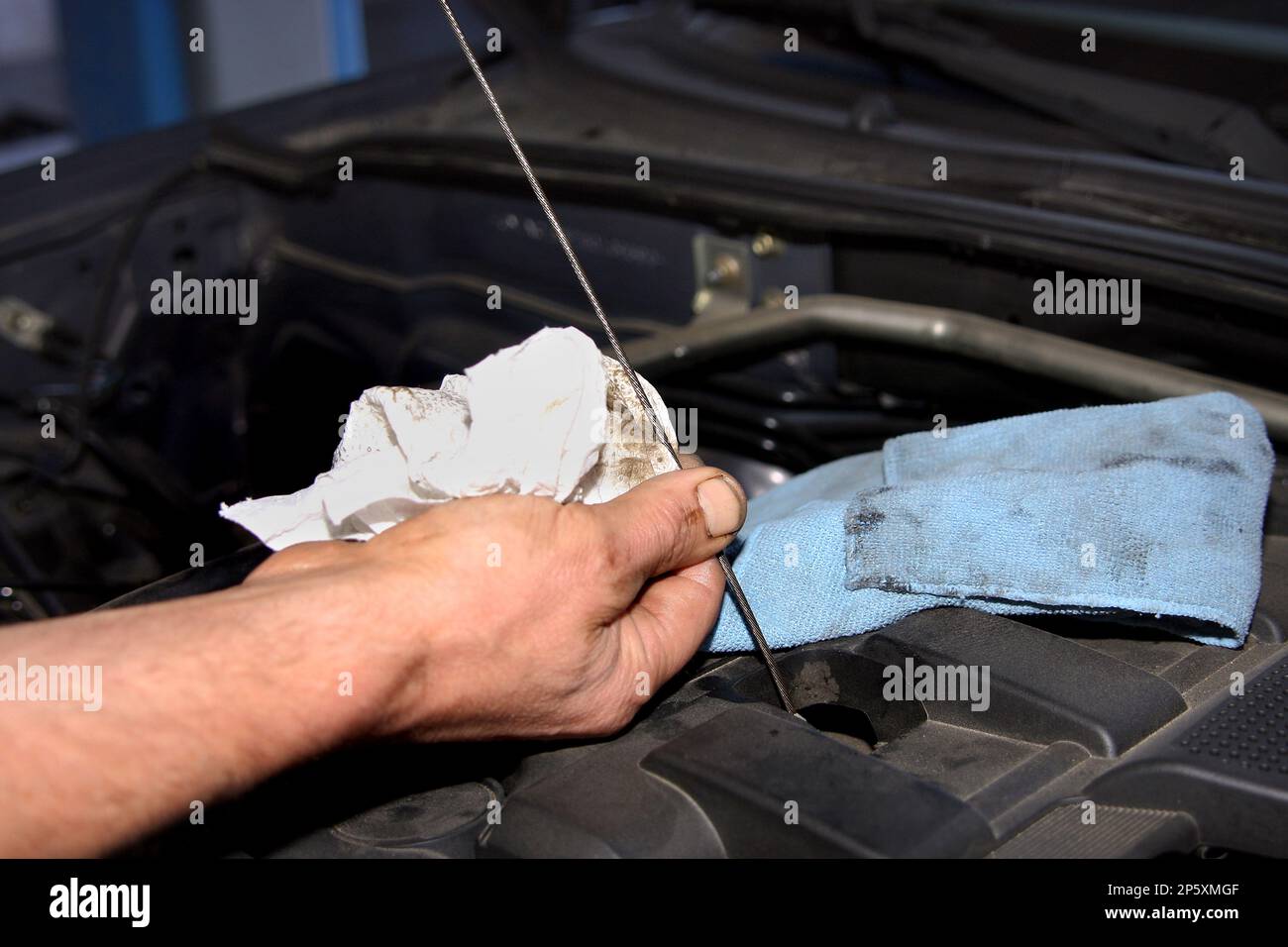 changing the oil in the car, controlling the oil level Stock Photo - Alamy