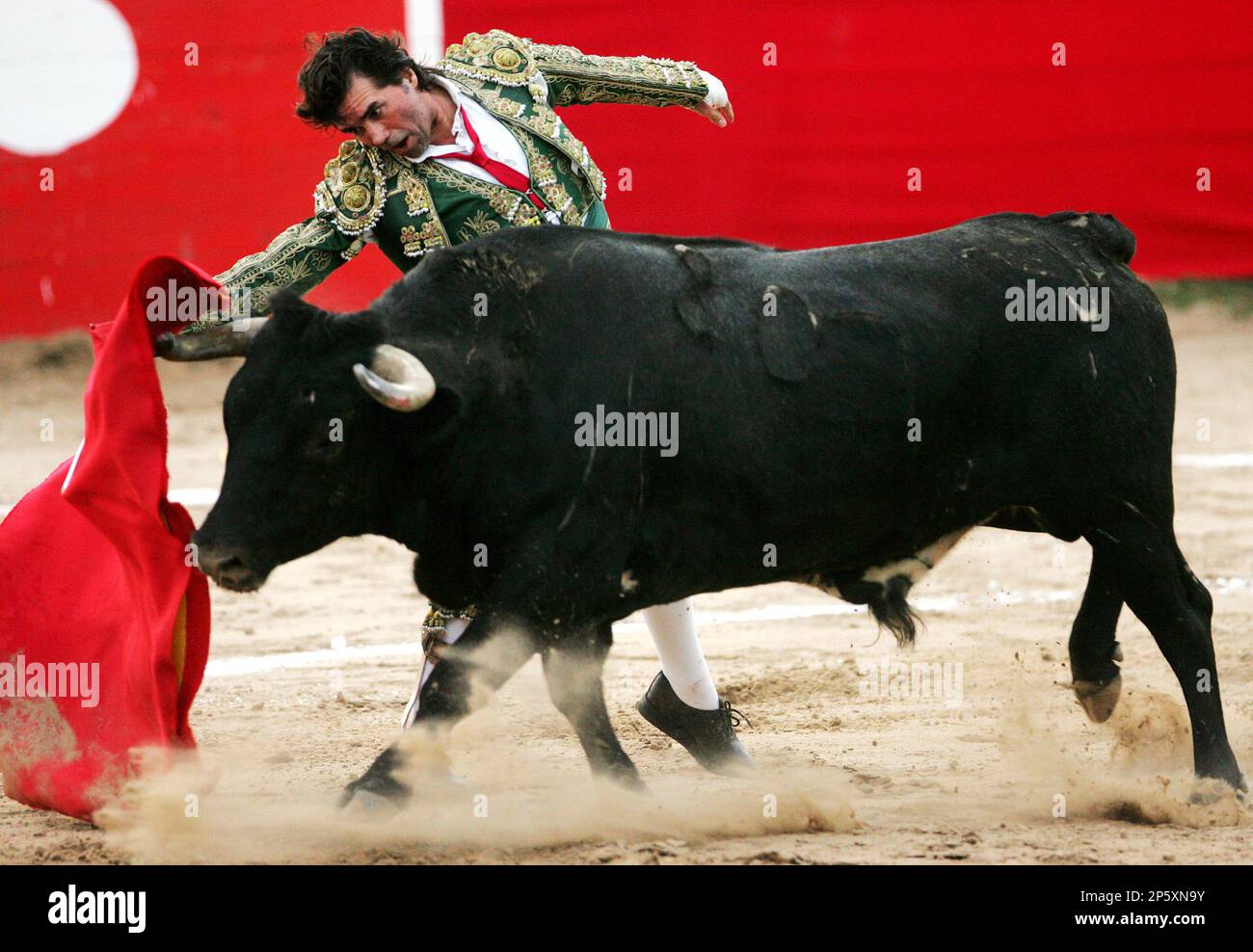 Professional bullfighter Jorge de Jesus "El Glison" tames a bull in ...