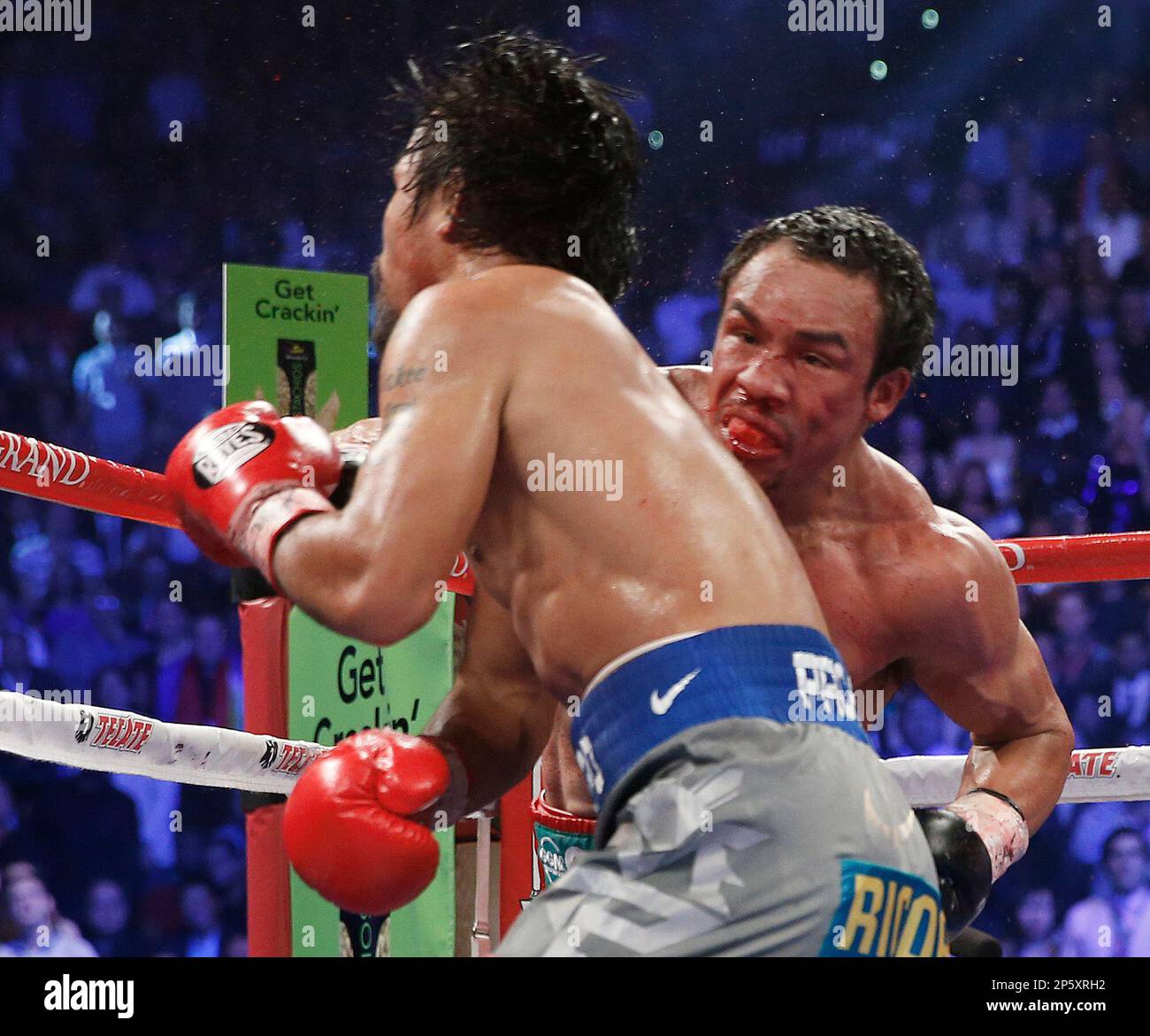Juan Manuel Marquez, from Mexico, right, knocks out Manny Pacquiao ...