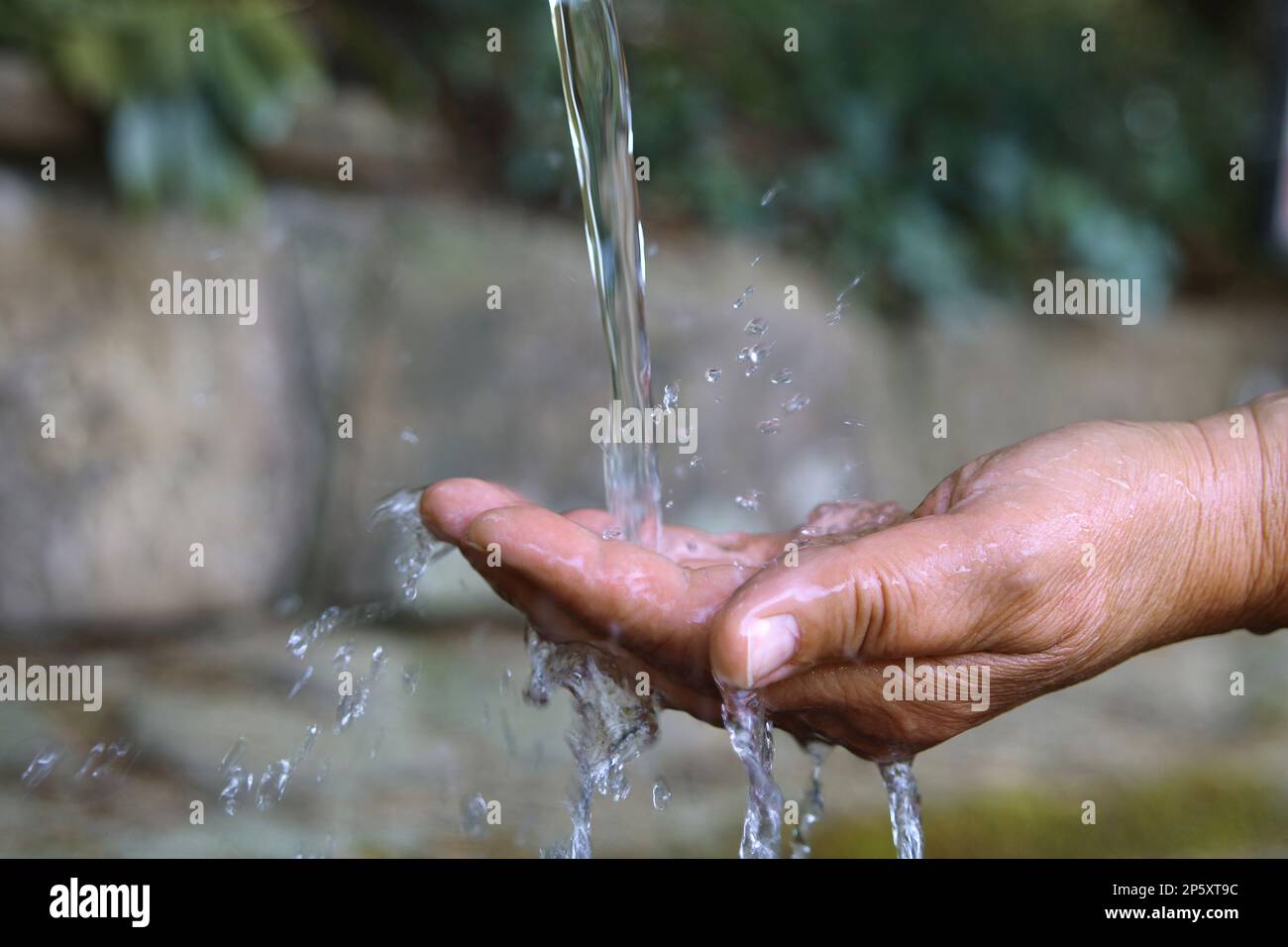 clear water flowing onto the palm of the hand Stock Photo - Alamy