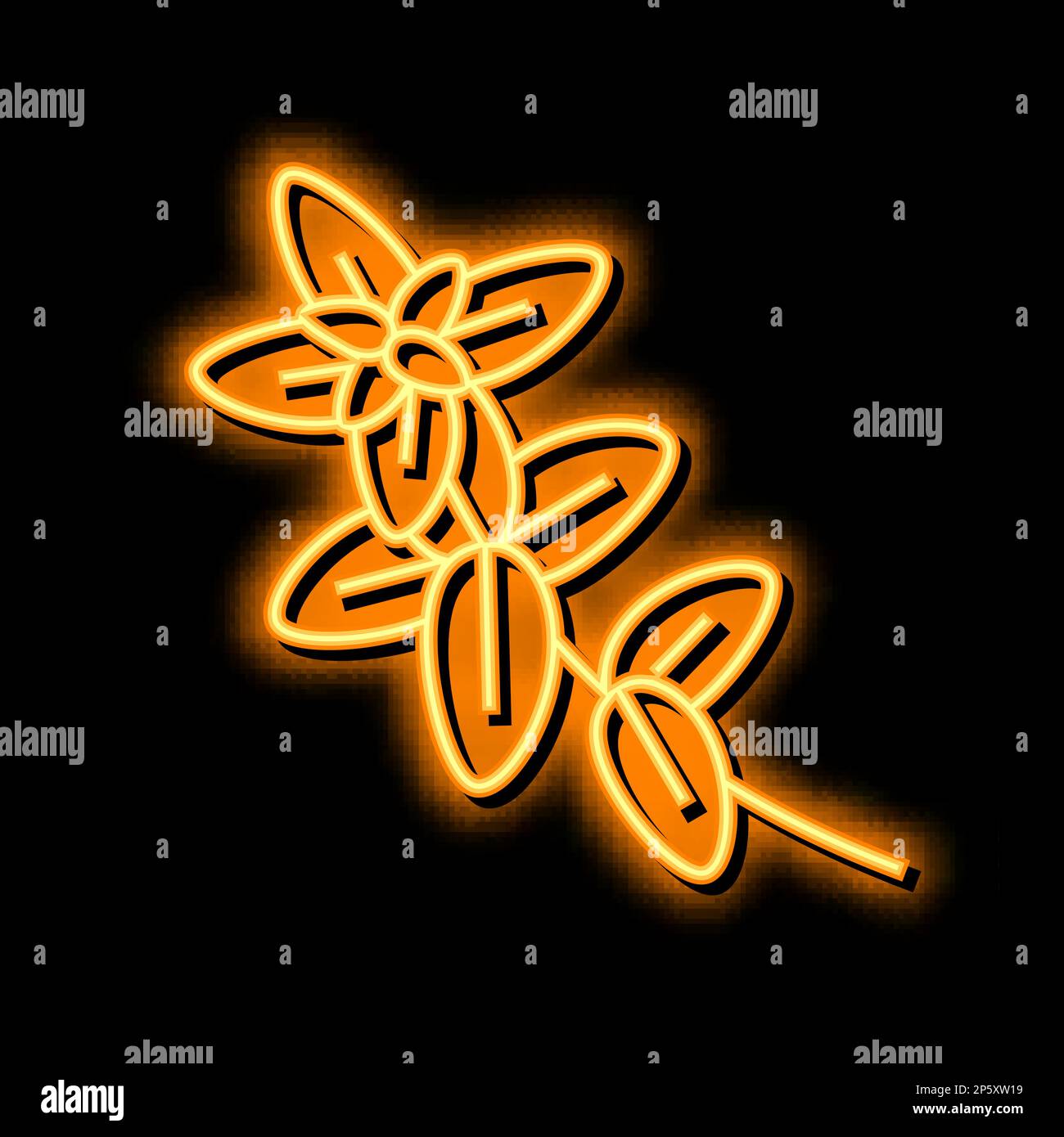 oregano plant branch neon glow icon illustration Stock Vector Image ... oregano plant branch neon glow icon illustration Stock Vector Image ...