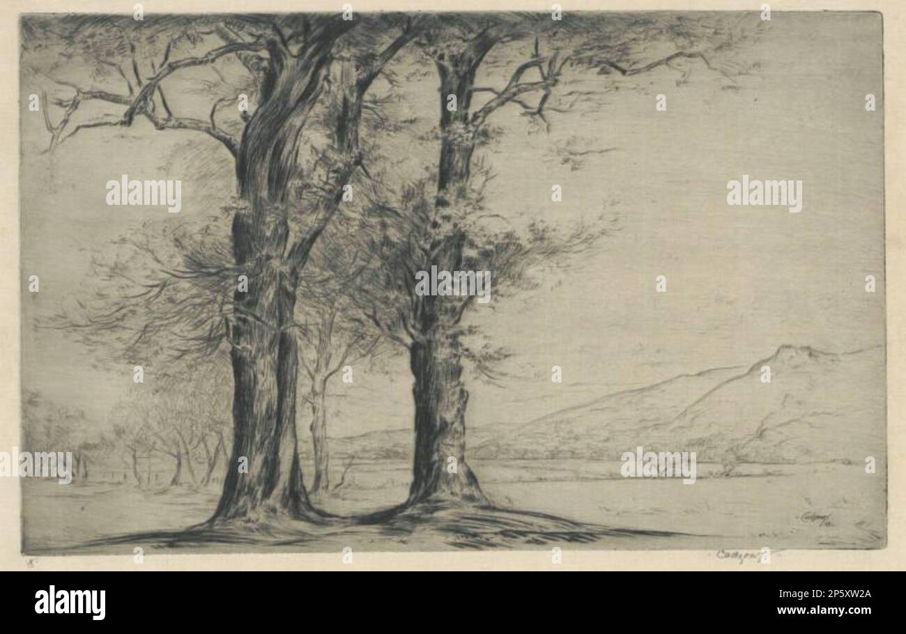 The Ash And The Elm, James Cadzow (Craighead, Carluke, Scotland, 1881 ...