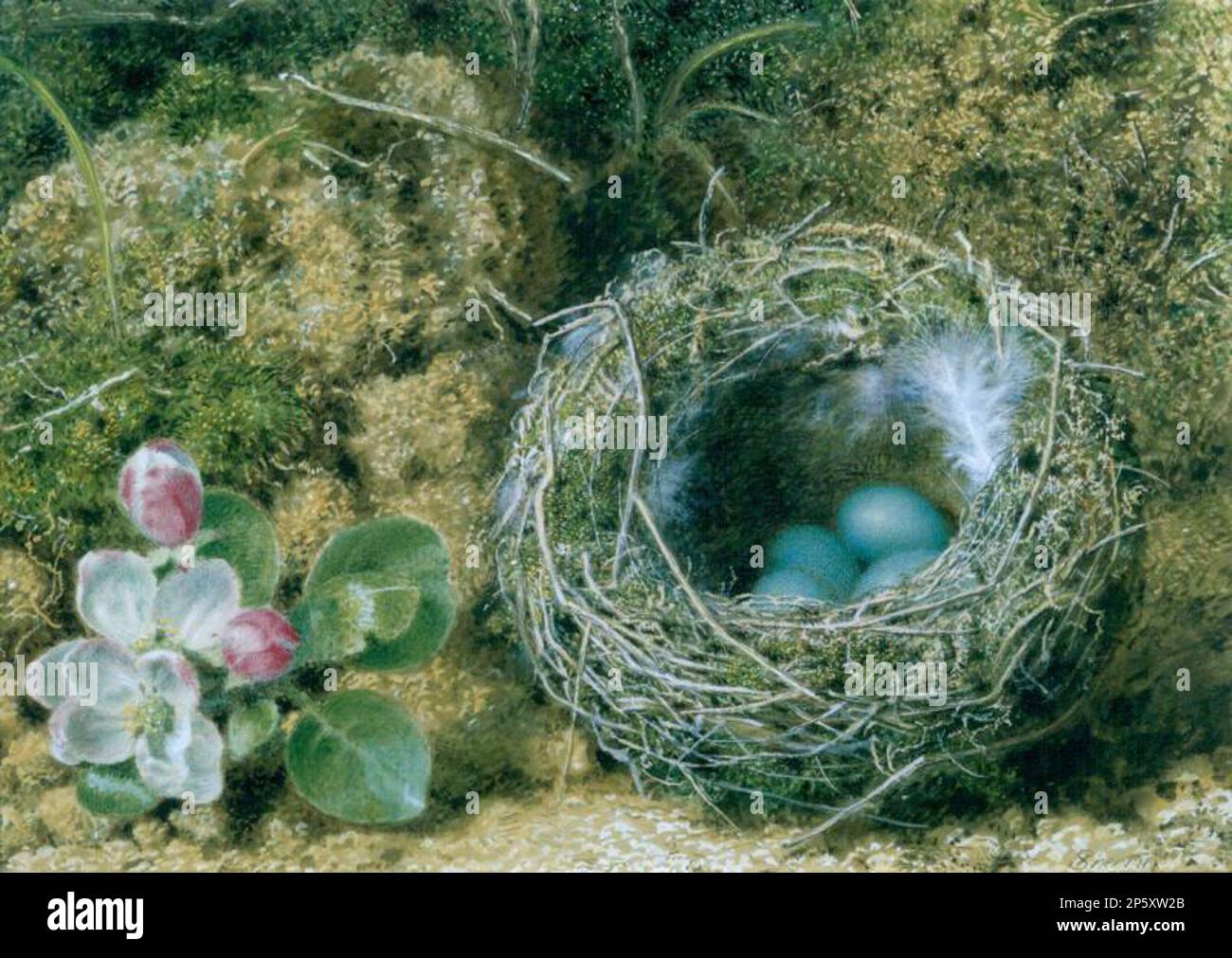 A Bird's Nest and Apple Blossom, John Sherrin (London, England, 1819 ...