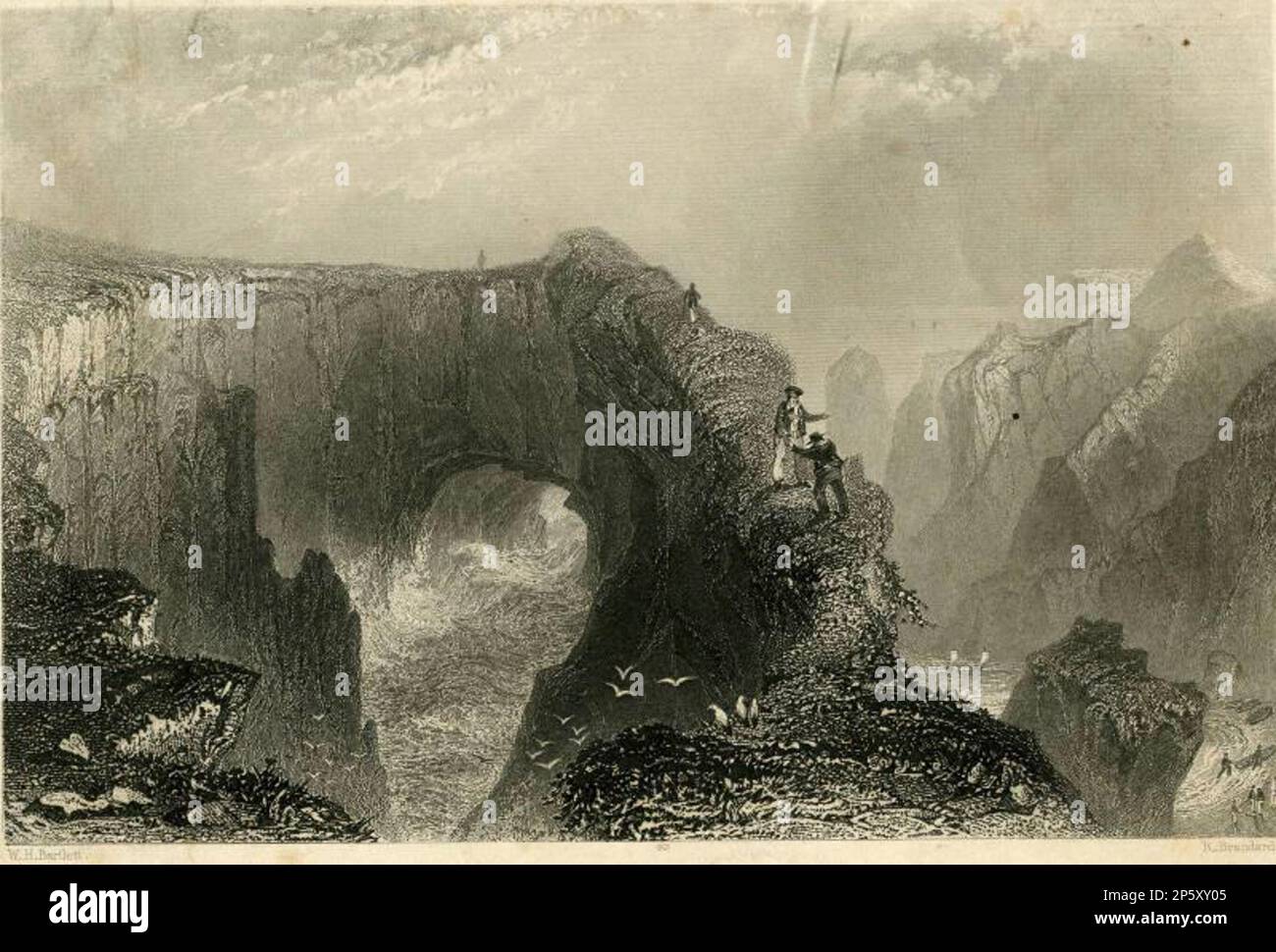 The Bullers of Buchan, Discover More Stock Photo - Alamy