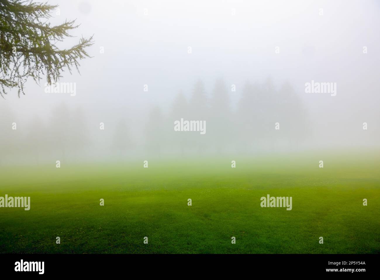 3334bdyl hi-res stock photography and images - Alamy