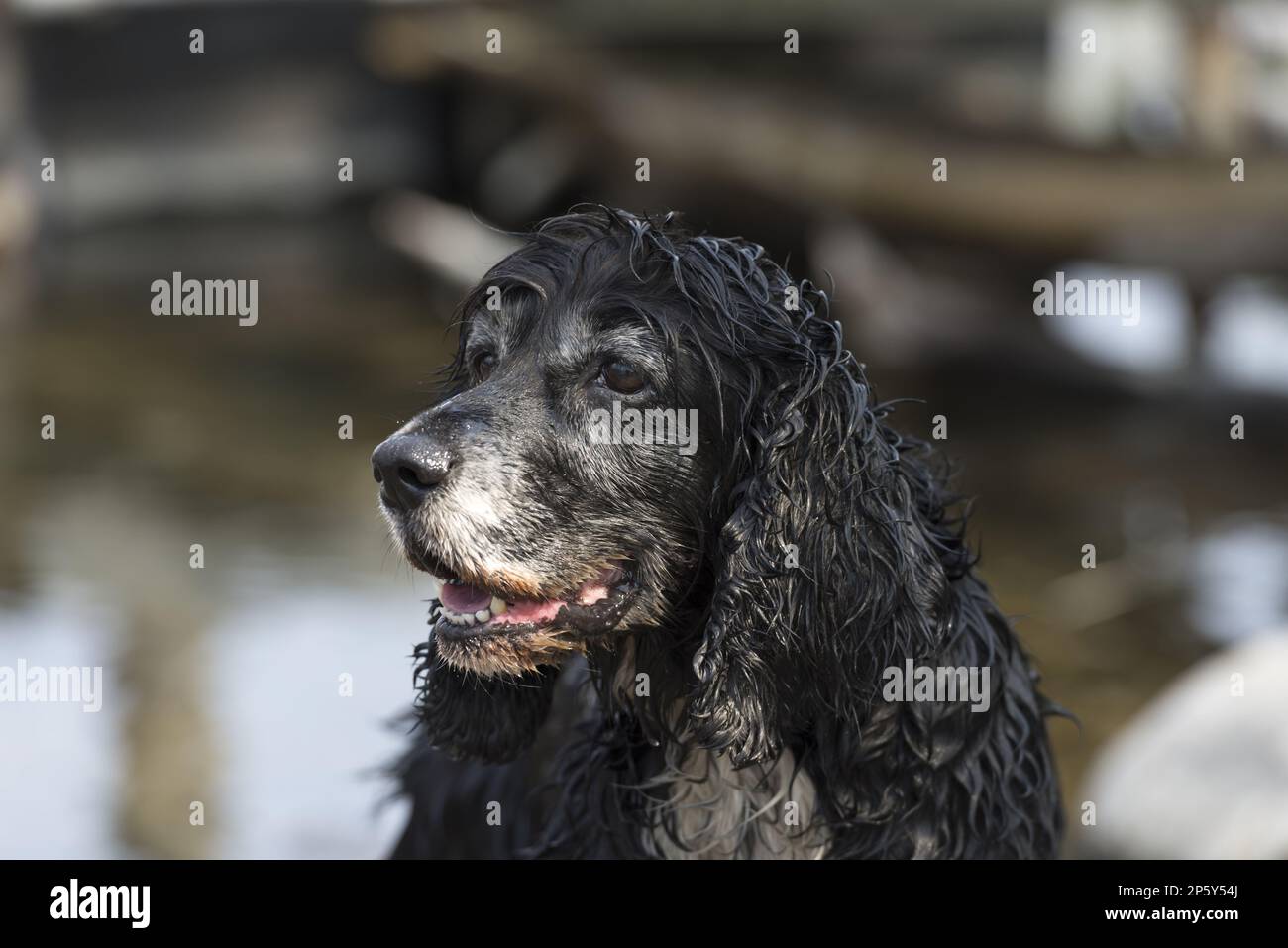 3334bdxh hi-res stock photography and images - Alamy
