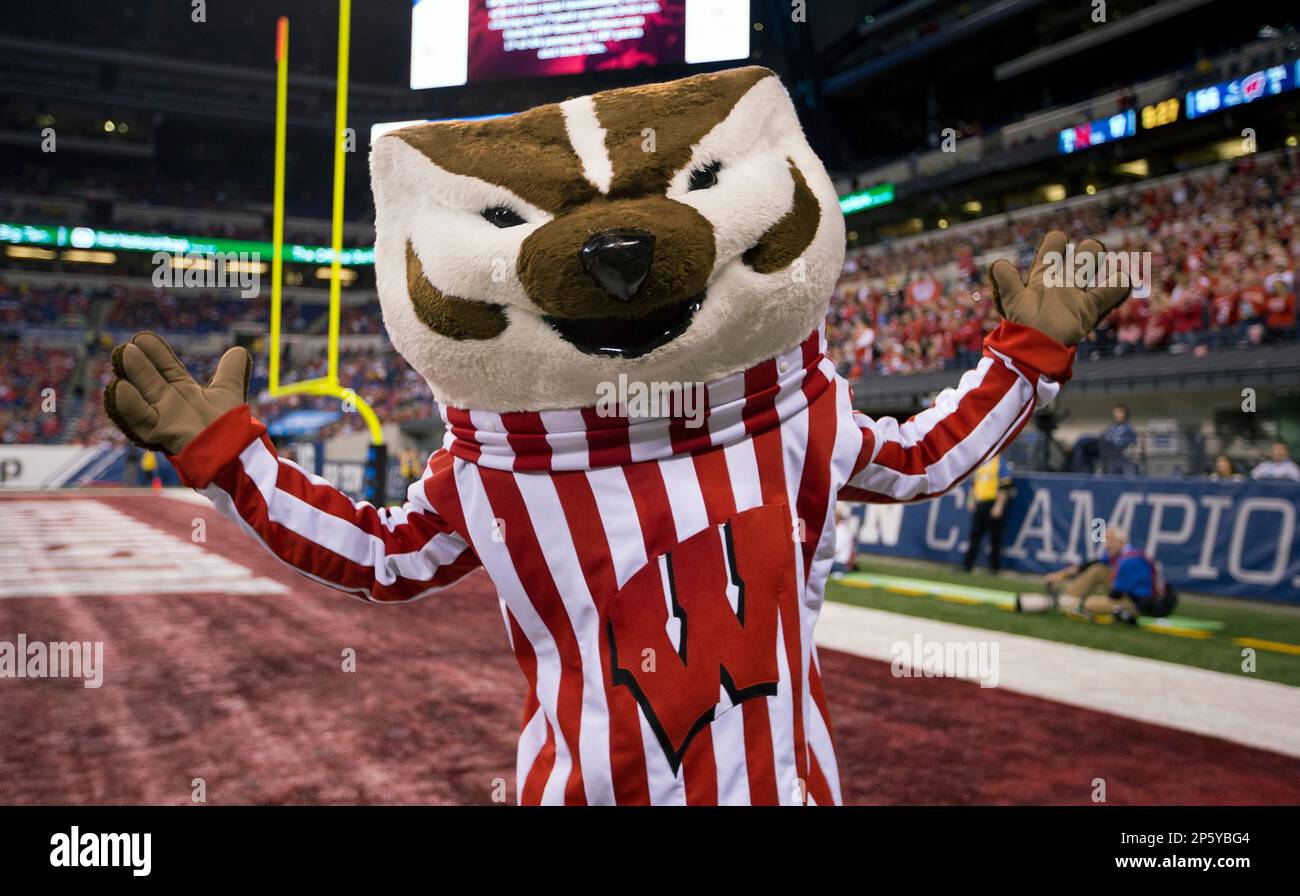 Wisconsin Badgers mascot Bucky Badger celebrates a touchdown during the ...
