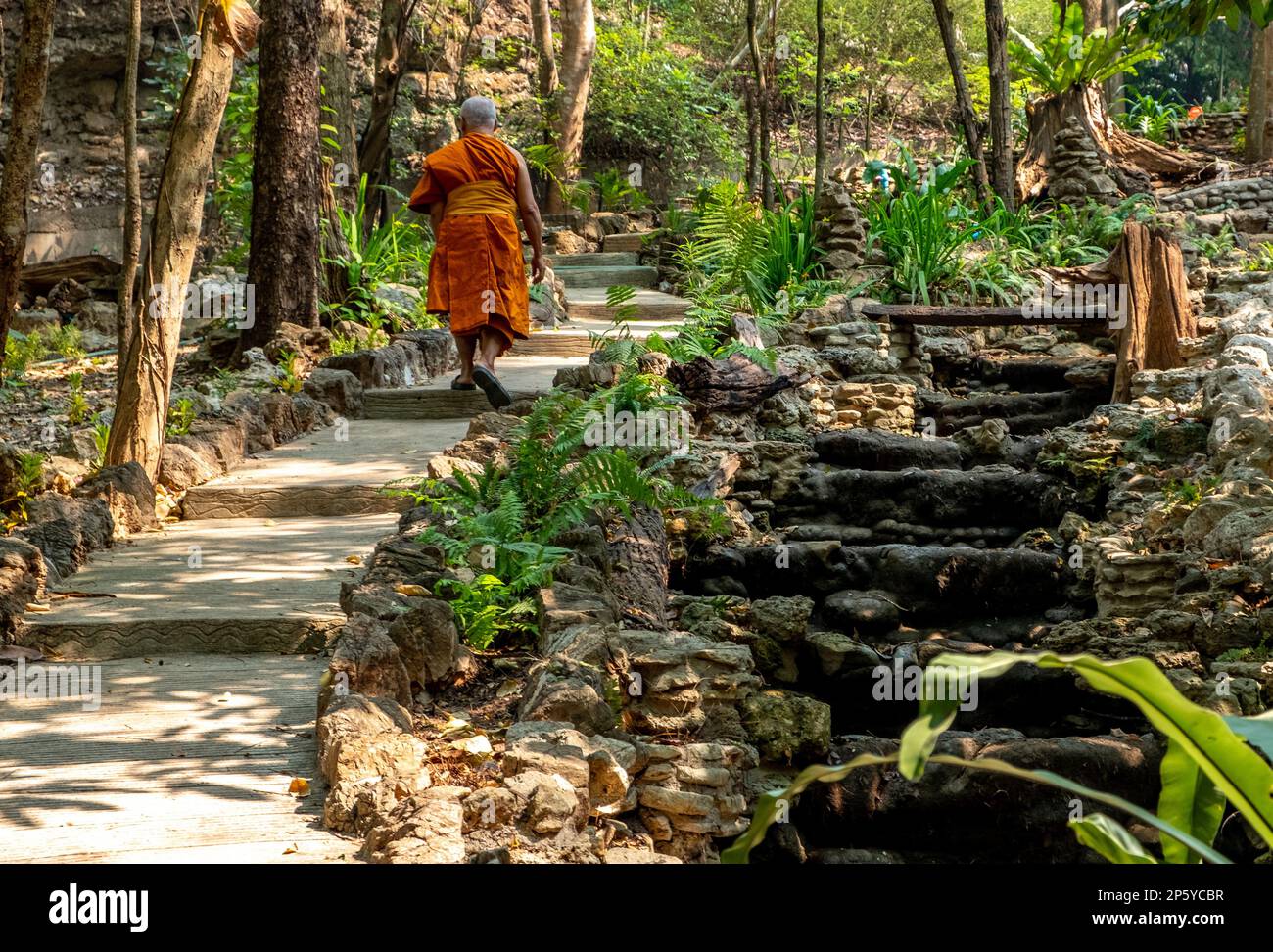 Orange-clad monk walking on a jungle path at the Wat Photi Khun ...