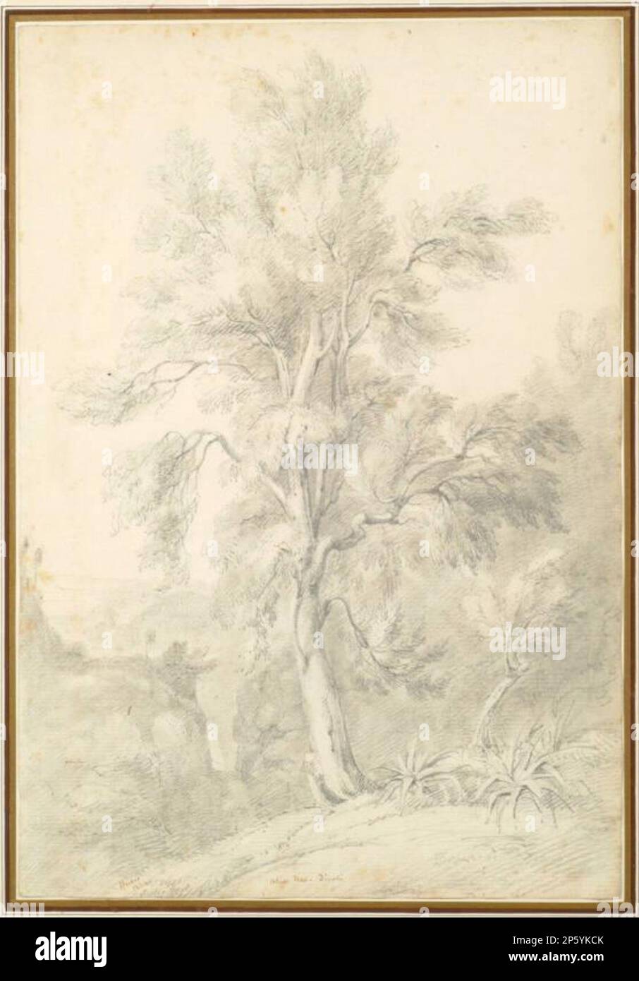 Olive Tree, Tivoli, James Giles (Aberdeen, Scotland, 1801 - 1870) 1824 ...