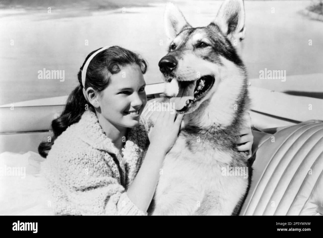 THE LITTLEST HOBO Storer Programs Canadian TV series with Wendy Stuart ...