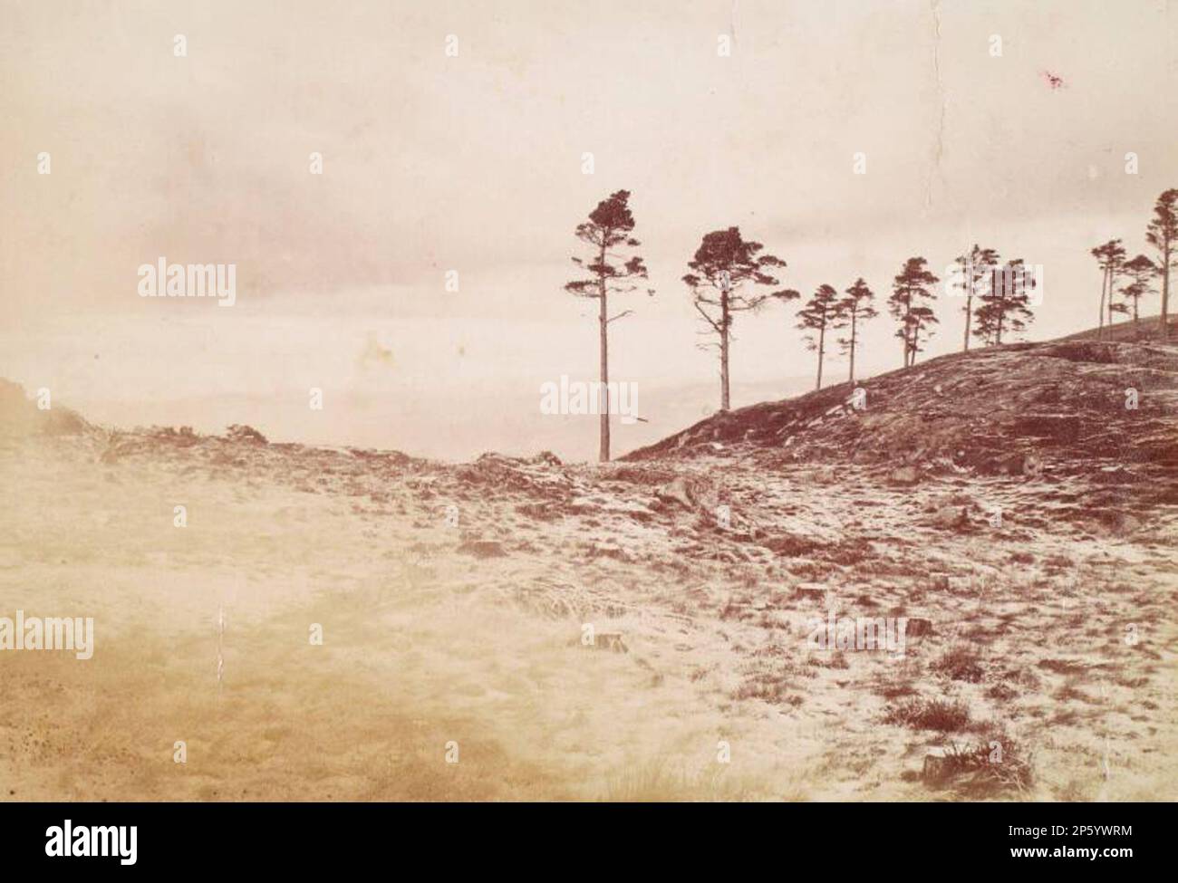 John Everett Millais Landscape