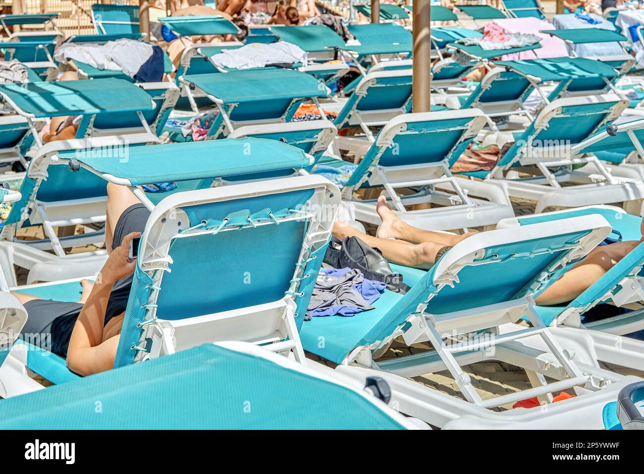 Blue sun loungers put in rows under transparent canopy. Sun-protection ...