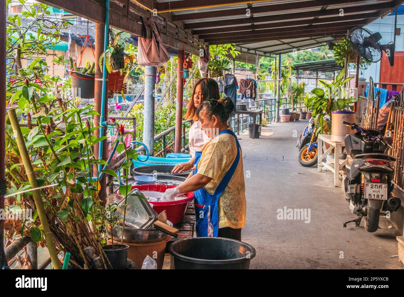 Thai women clean or wash dishes on a path in a housing estate of ...