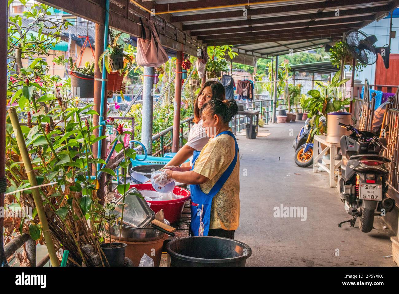 Thai women clean or wash dishes on a path in a housing estate of ...