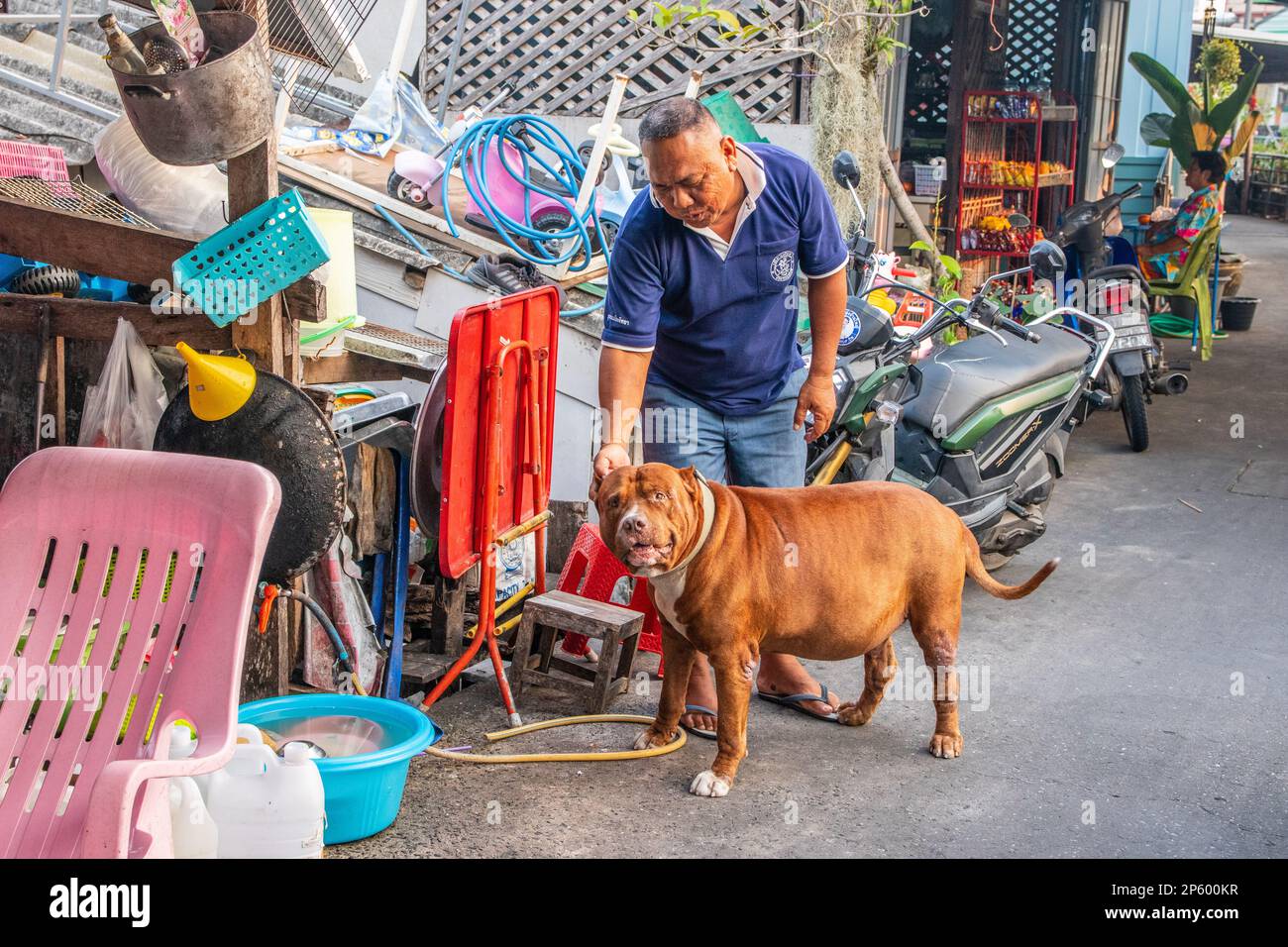 A Thai man with his dog on a narrow path in a housing estate of ...