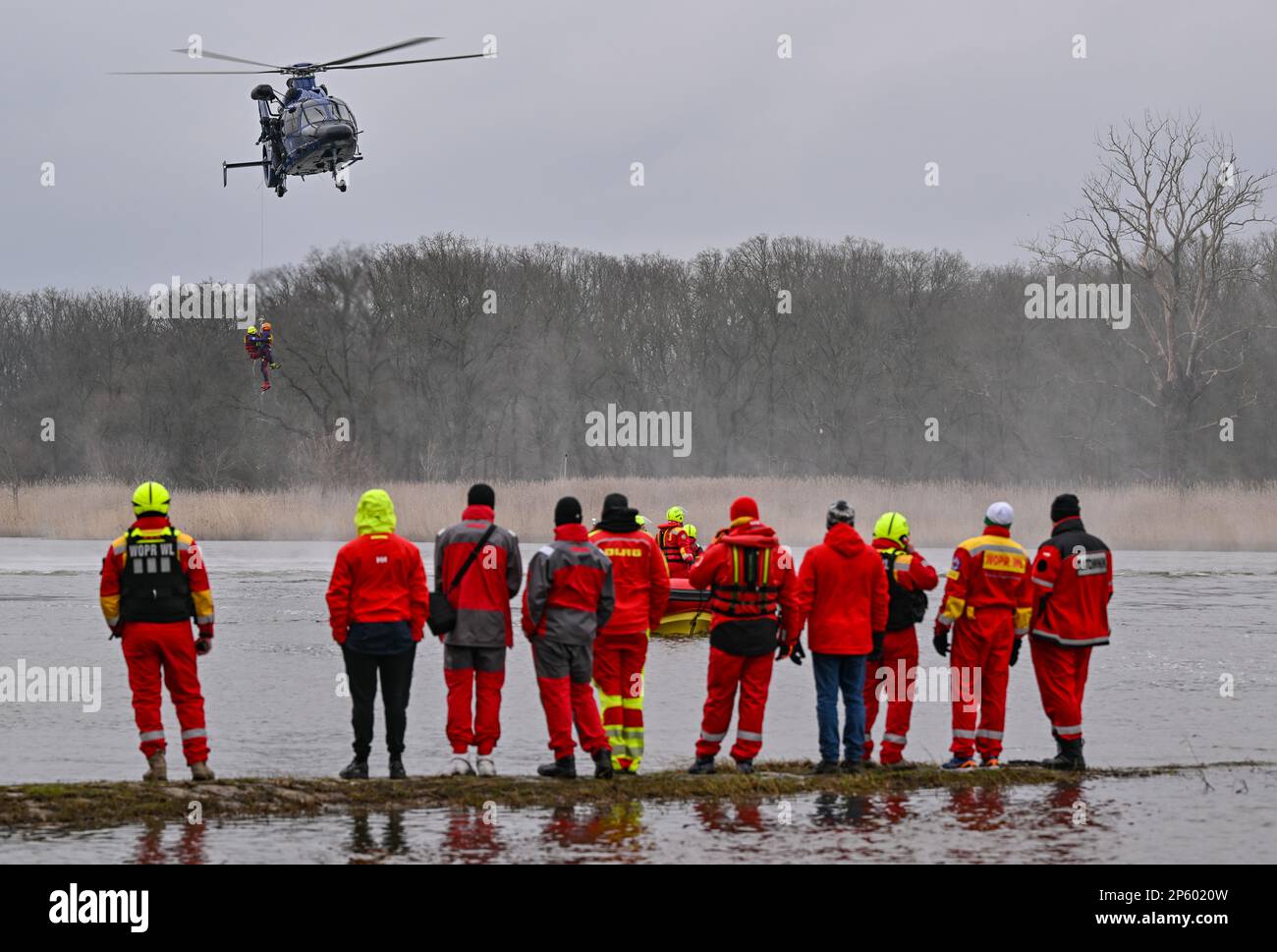 07 March 2023, Brandenburg, Frankfurt (Oder): The German Federal Police ...