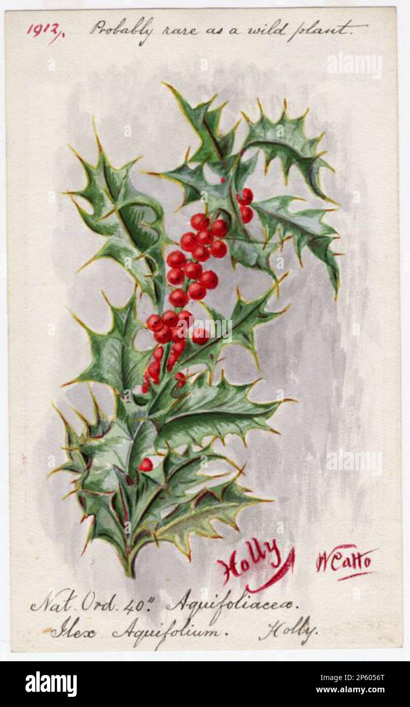 William catto hi-res stock photography and images - Alamy