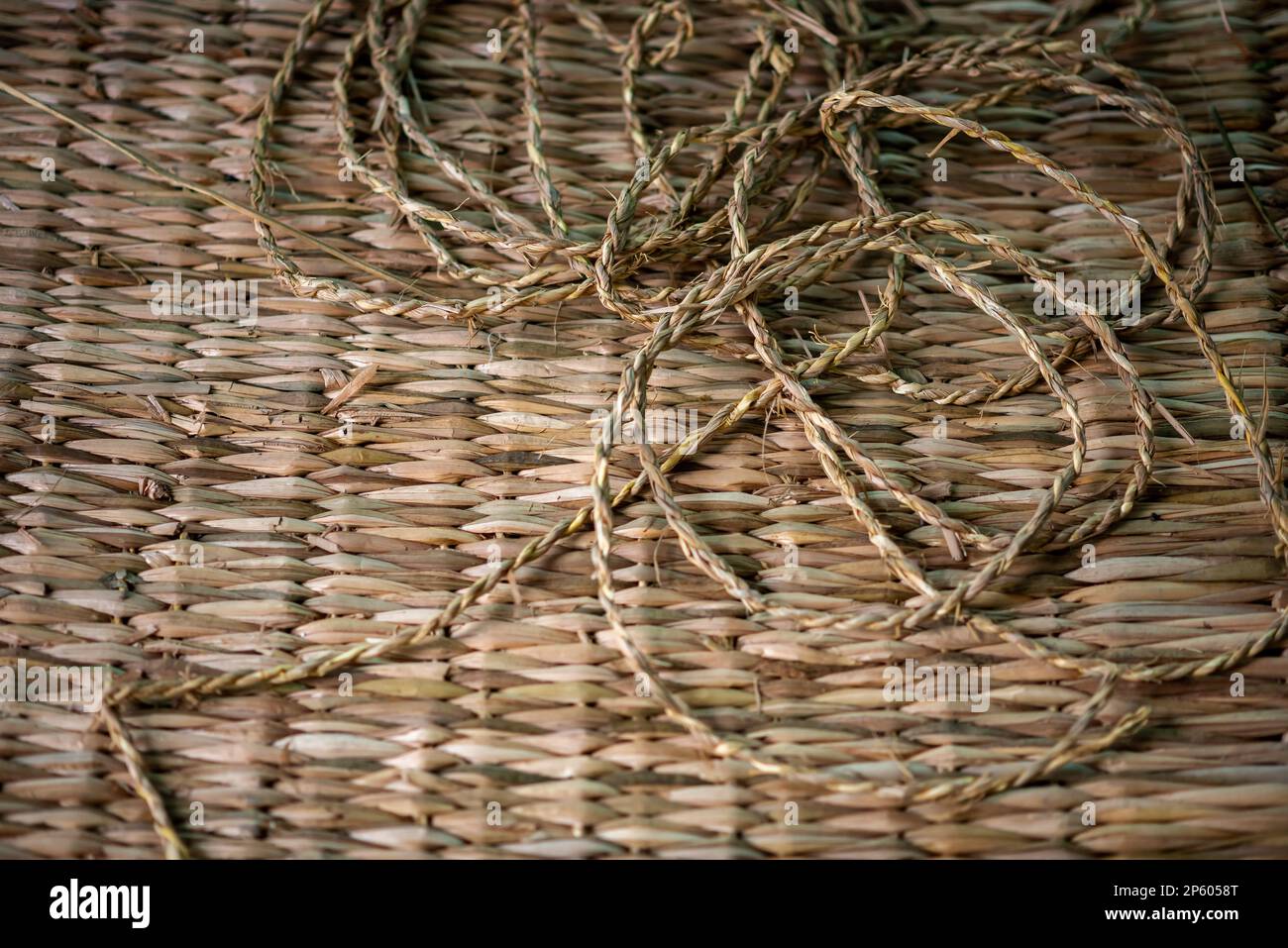 A rice straw is seen on an under process 'Waguv', a traditional mat ...