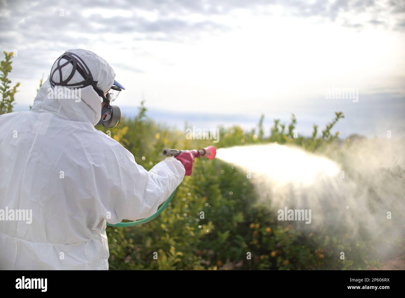 Spray ecological pesticide farmer fumigate hi-res stock photography and ...